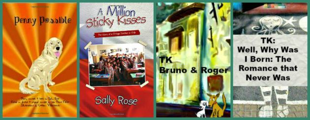 Wonderlanded in Santiago with Sally Rose, expat writer, teacher and ...