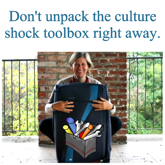 CULTURE SHOCK TOOLBOX: Expats, know when to put a clamp on your native ...
