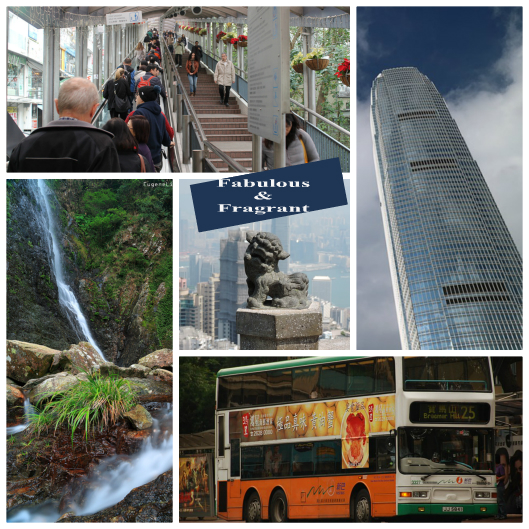 THE ACCIDENTAL EXPAT: Moving on to fabulous, fragrant (and fatiguing ...
